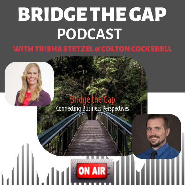 Bridge the Gap Podcast Connecting Business Perspectives | Listen to ...