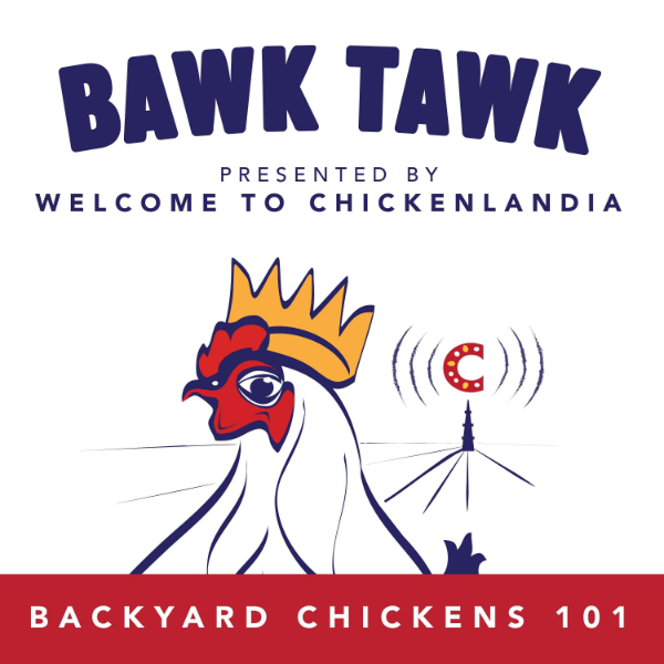 Bawk Tawk! Your 100% Friendly Backyard Chickens Show | Listen to ...