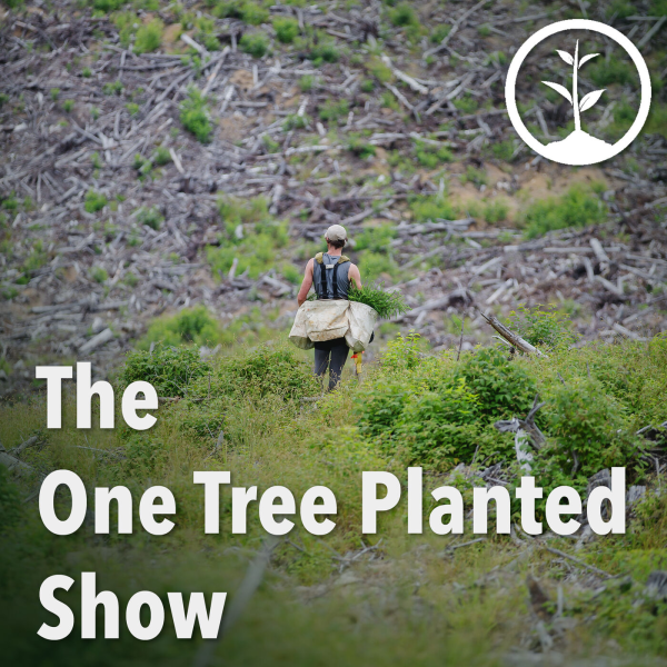 The One Tree Planted Show | Listen to Podcasts On Demand Free | TuneIn