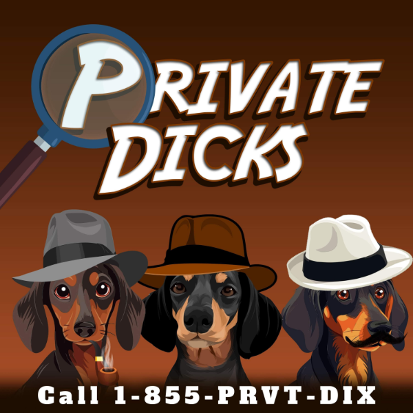 Private Dicks | Listen to Podcasts On Demand Free | TuneIn