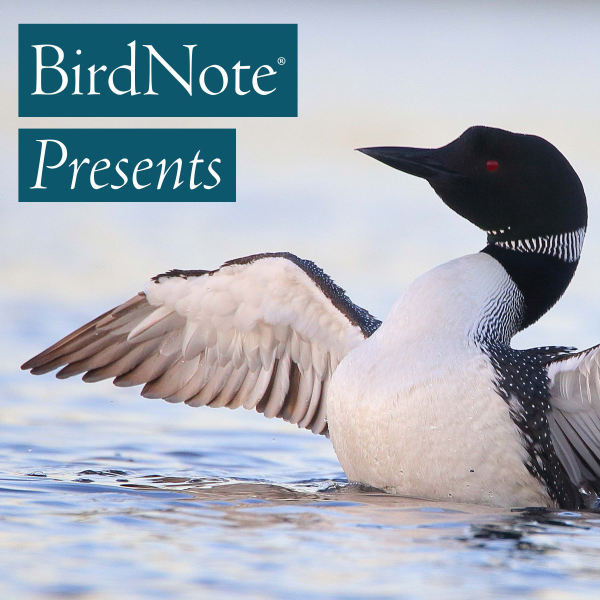 BirdNote Presents | Listen to Podcasts On Demand Free | TuneIn