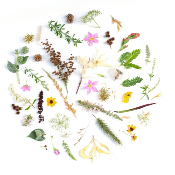 Seres Integrales | Listen to Podcasts On Demand Free | TuneIn