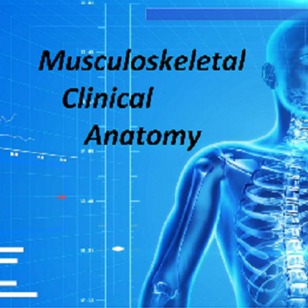 Musculoskeletal clinical anatomy | Listen to Podcasts On Demand Free ...