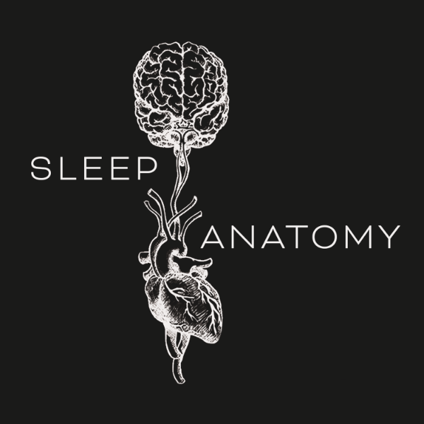 Sleep Anatomy | Listen to Podcasts On Demand Free | TuneIn
