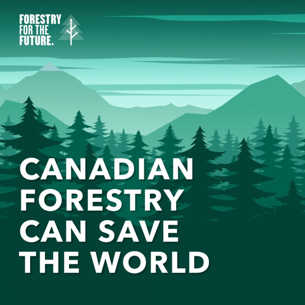 Canadian Forestry Can Save The World | Free Internet Radio | TuneIn