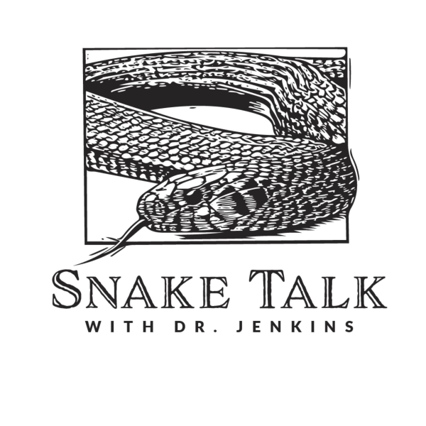 Snake Talk | Listen to Podcasts On Demand Free | TuneIn