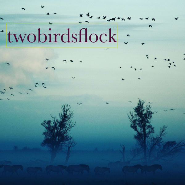 two birds flock | Listen to Podcasts On Demand Free | TuneIn