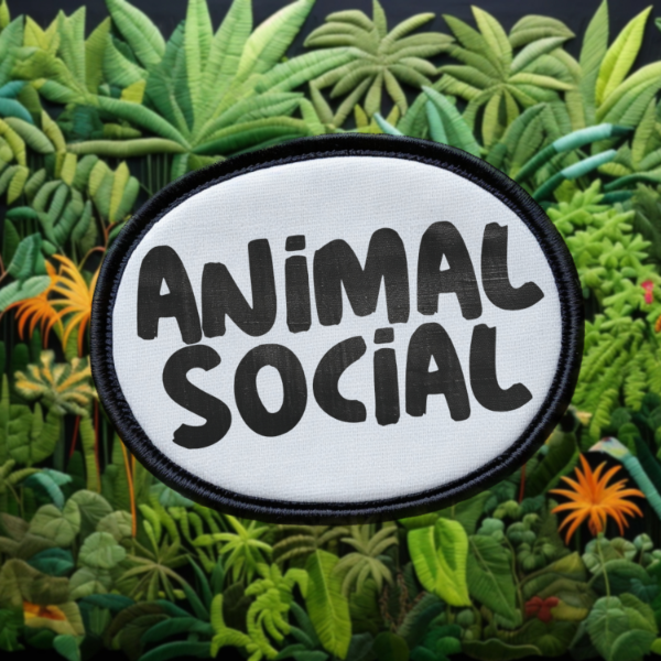 ANIMAL SOCIAL: Un podcast de redes sociales. | Free Internet Radio | TuneIn