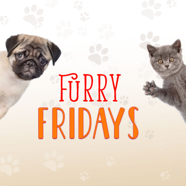 Furry Fridays | Listen to Podcasts On Demand Free | TuneIn