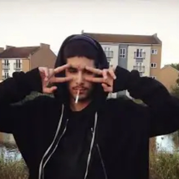 Bird Tracker | Listen to Podcasts On Demand Free | TuneIn