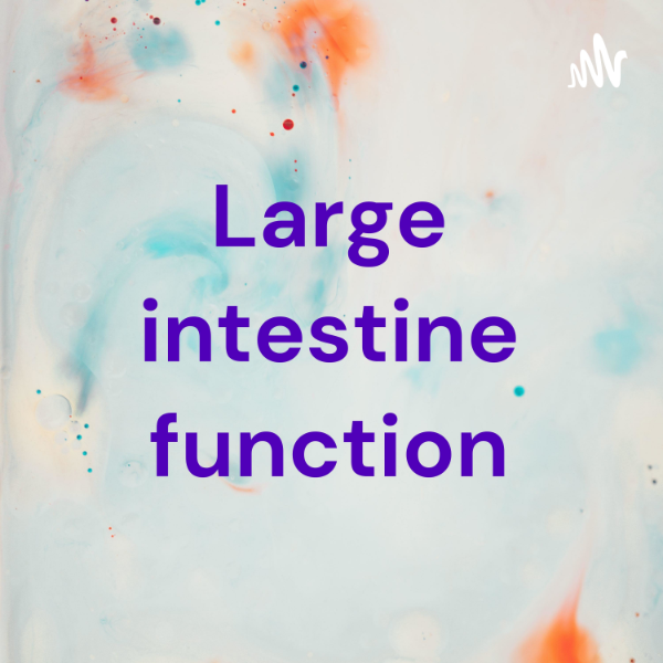 Large intestine function | Listen to Podcasts On Demand Free | TuneIn