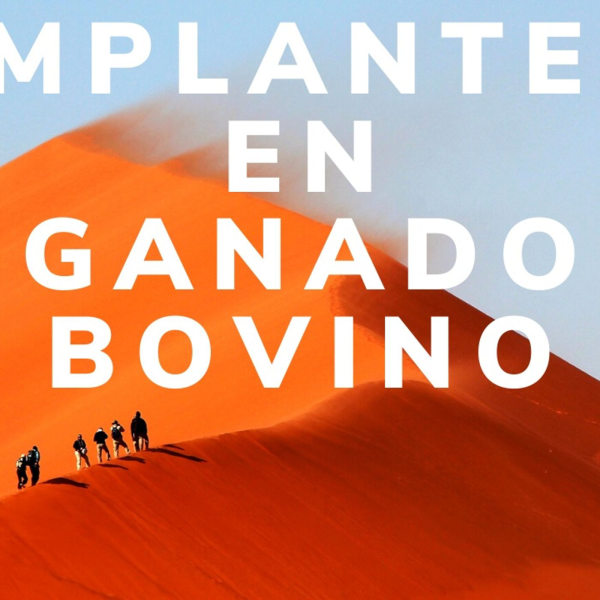 IMPLANTES EN BOVINOS DE CARNE | Listen to Podcasts On Demand Free | TuneIn