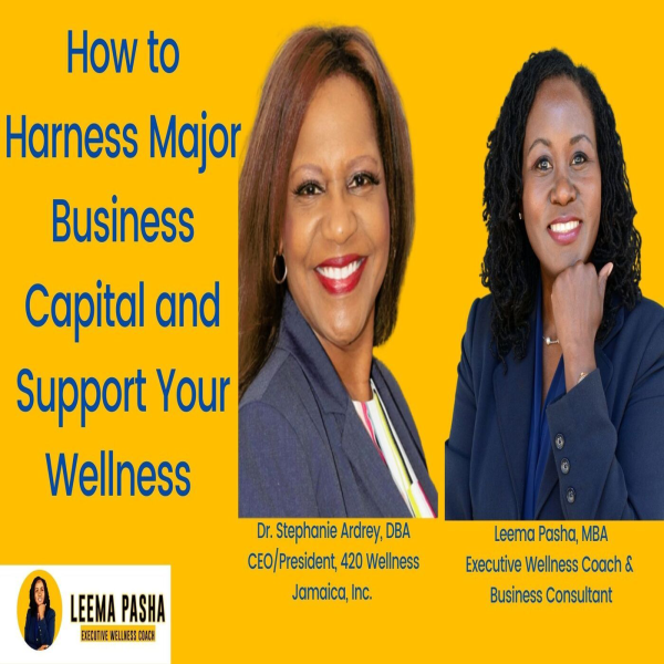 How to Get Business Funding and How to Support Wellness || Dr ...