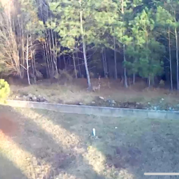 Pastor T Adams | Listen to Podcasts On Demand Free | TuneIn