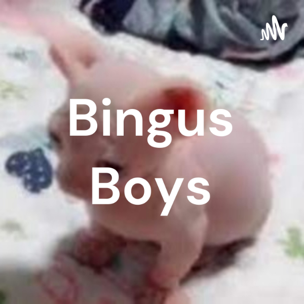 Bingus Boys | Listen to Podcasts On Demand Free | TuneIn