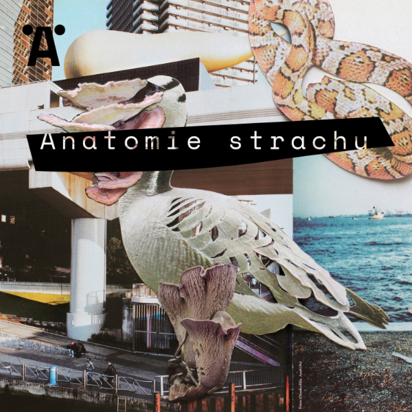 Anatomie strachu | Free Internet Radio | TuneIn
