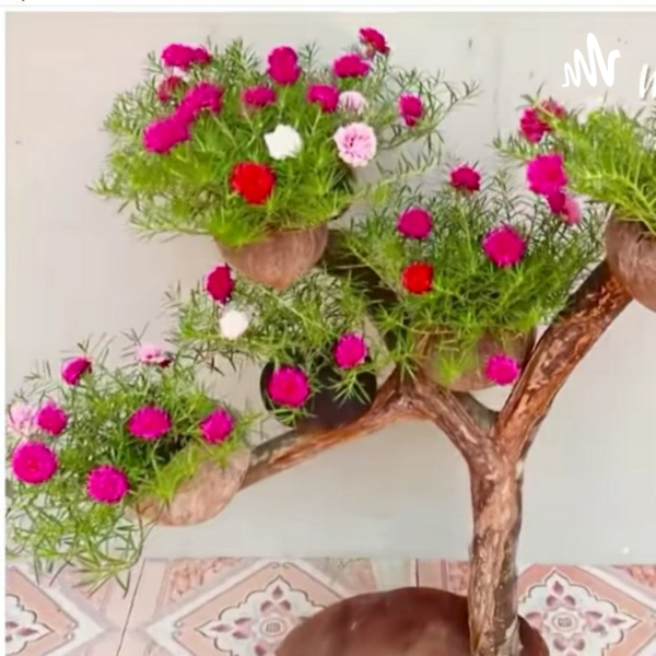 El Cuidado De Las Plantas | Listen to Podcasts On Demand Free | TuneIn