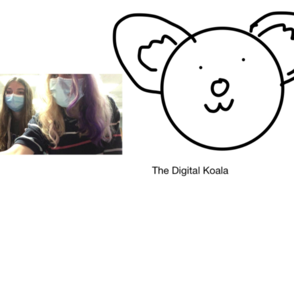 The Digital Koala | Listen to Podcasts On Demand Free | TuneIn