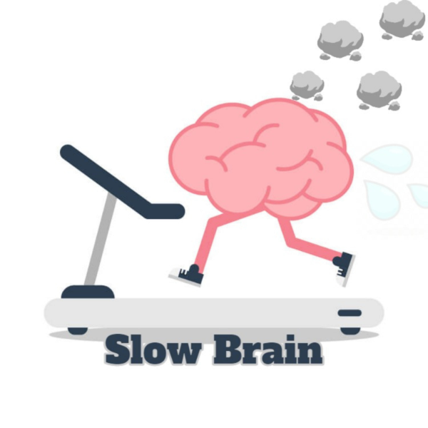 Slow Brain | Listen to Podcasts On Demand Free | TuneIn