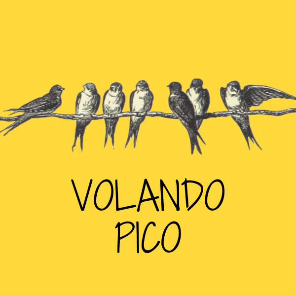 Volando Pico | Listen to Podcasts On Demand Free | TuneIn
