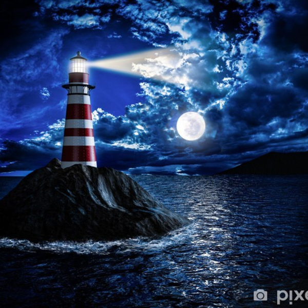 Il cammino di Ali | Listen to Podcasts On Demand Free | TuneIn