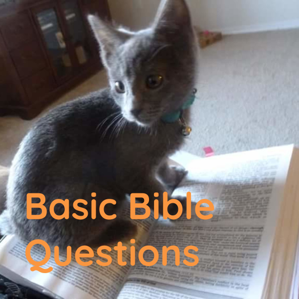 Basic Bible Questions - Answered! | Listen to Podcasts On Demand Free ...