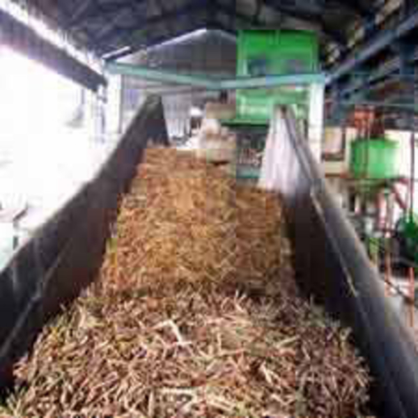 La zafra azucarera en Santiago de Cuba | Listen to Podcasts On Demand ...