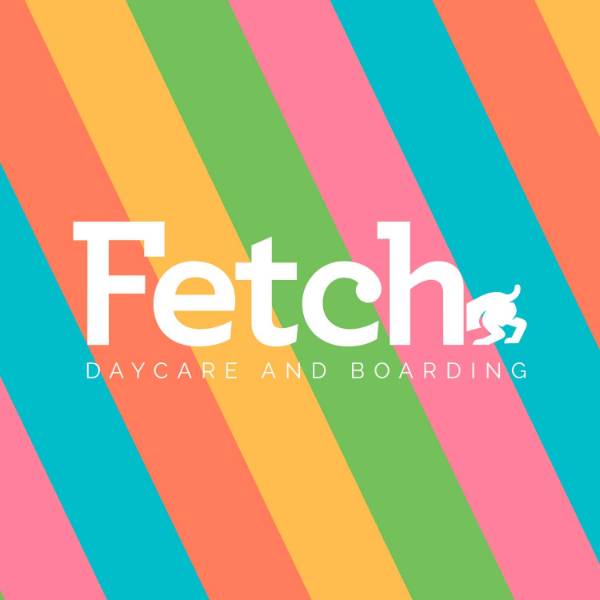 Fetch Dubai’s Beards n Barks video podcasts | Listen to Podcasts On Demand Free | TuneIn