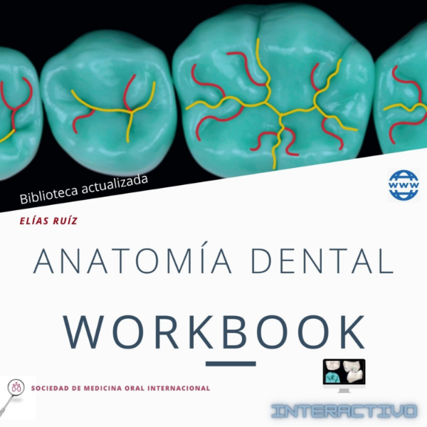 Anatomia Dental Workbook | Listen to Podcasts On Demand Free | TuneIn