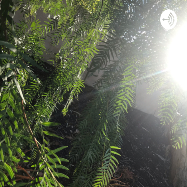 Merba_yerba | Listen to Podcasts On Demand Free | TuneIn