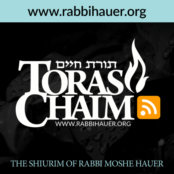 Toras Chaim - The Shiurim of Rabbi Moshe Hauer | Free Internet Radio ...