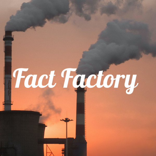 Fact Factory | Listen to Podcasts On Demand Free | TuneIn