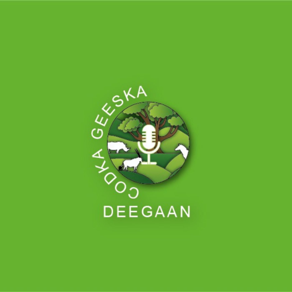 Radio Deegaan Codka Geeska | Listen to Podcasts On Demand Free | TuneIn