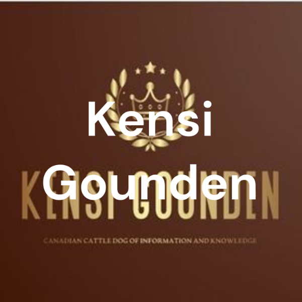 Kensi Gounden | Listen to Podcasts On Demand Free | TuneIn