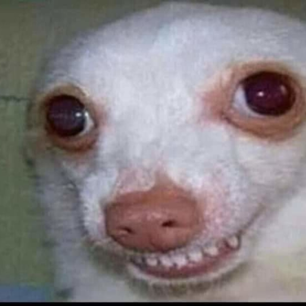 mateo pugo | Listen to Podcasts On Demand Free | TuneIn