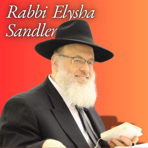 Rabbi Elysha Sandler | Listen to Podcasts On Demand Free | TuneIn