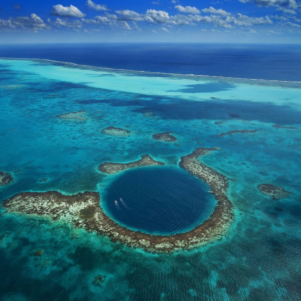 Elvis Delic's show | Listen to Podcasts On Demand Free | TuneIn