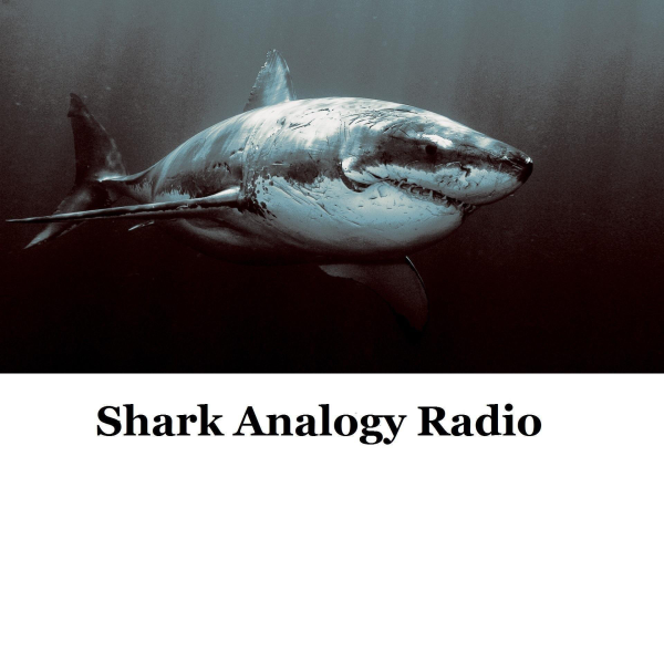 Shark Analogy Radio | Listen to Podcasts On Demand Free | TuneIn