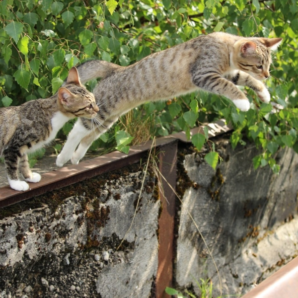 Hacer es Poder | Listen to Podcasts On Demand Free | TuneIn