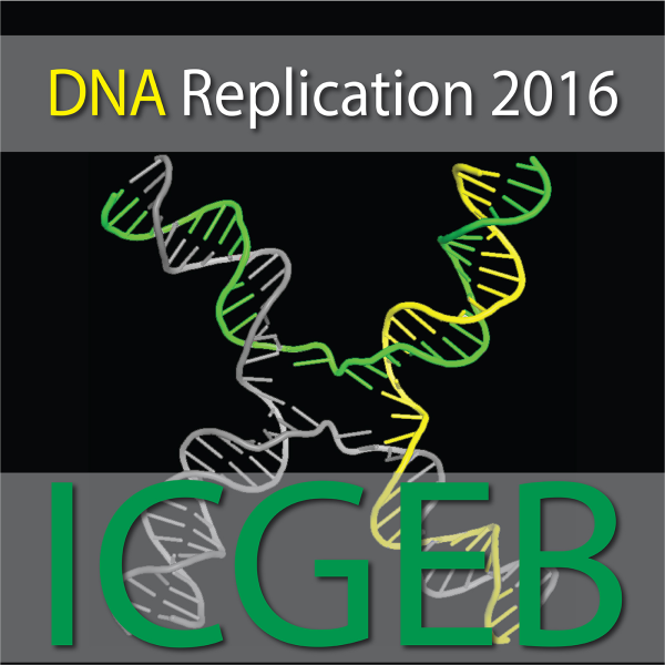 At the Intersection of DNA Replication and Genome Maintenance: from ...