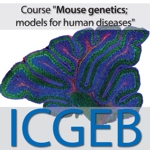 Mouse Genetics 2019; Models for Human Diseases | Free Internet Radio ...
