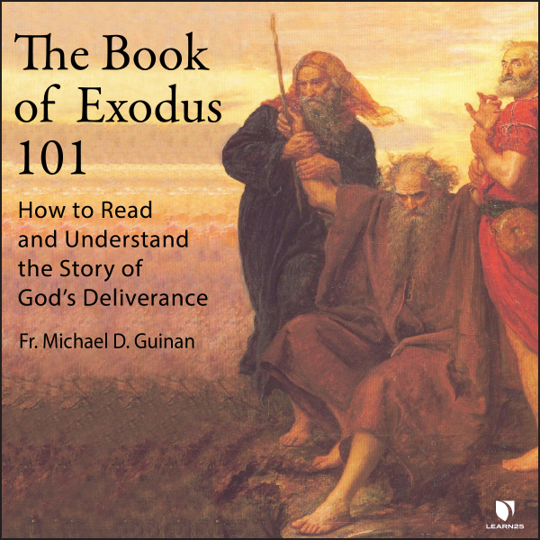 The Book of Exodus 101: How to Read and Understand the Story of God’s ...