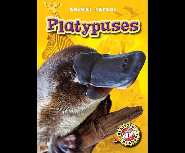 Platypuses - Listen to All Episodes | Juvenile Nonfiction