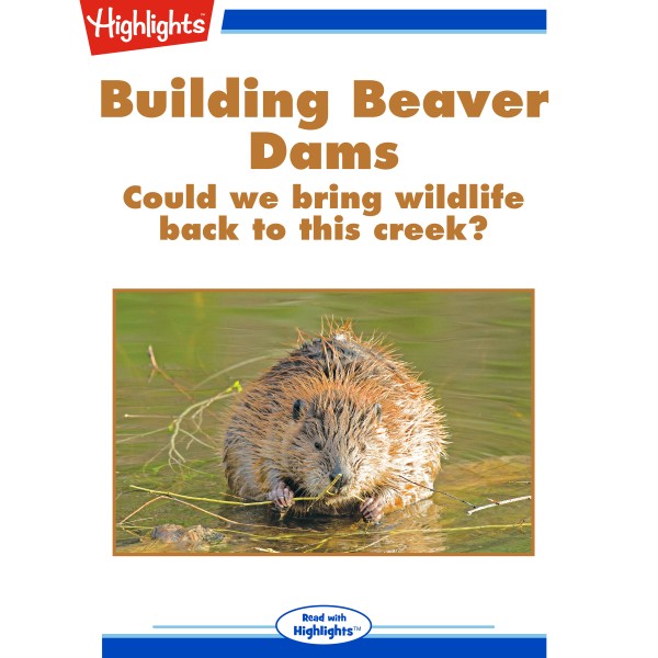 Building Beaver Dams | Listen to Podcasts On Demand Free | TuneIn