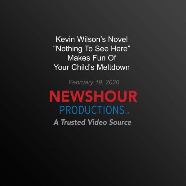Kevin Wilson’s Novel “Nothing To See Here” Makes Fun Of Your Child’S ...