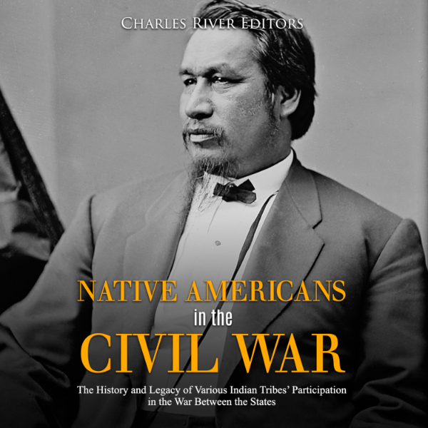 Native Americans in the Civil War: The History and Legacy of Various ...