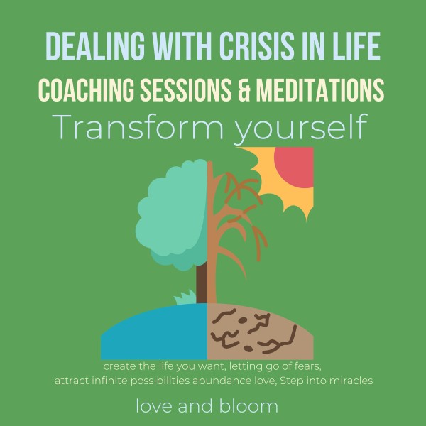 Dealing With Crisis In Life Coaching Sessions And Meditations Transform