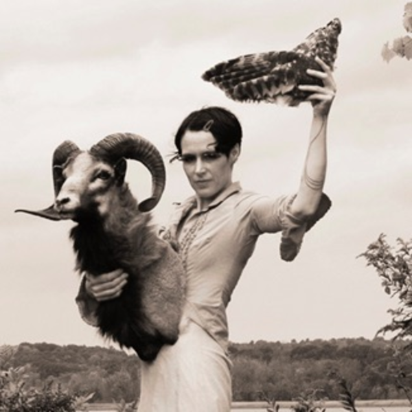 Dust Bowl Faeries | Listen to Podcasts On Demand Free | TuneIn