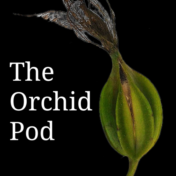 The Orchid Pod | Listen to Podcasts On Demand Free | TuneIn