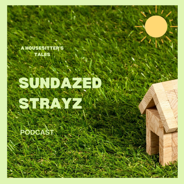 Sundazed Strayz | Listen to Podcasts On Demand Free | TuneIn